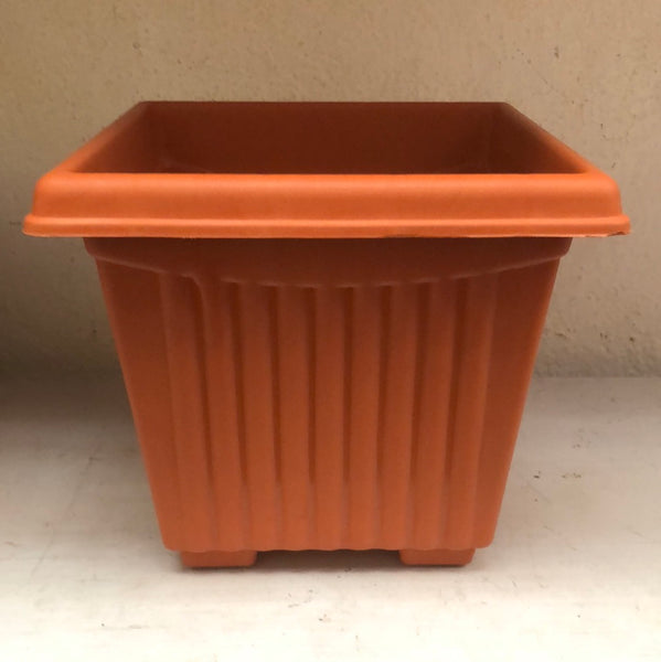 Sq Tc plastic pots”12” – hariththarang